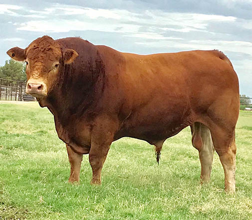 Our Story | Six Diamond Cattle Co.